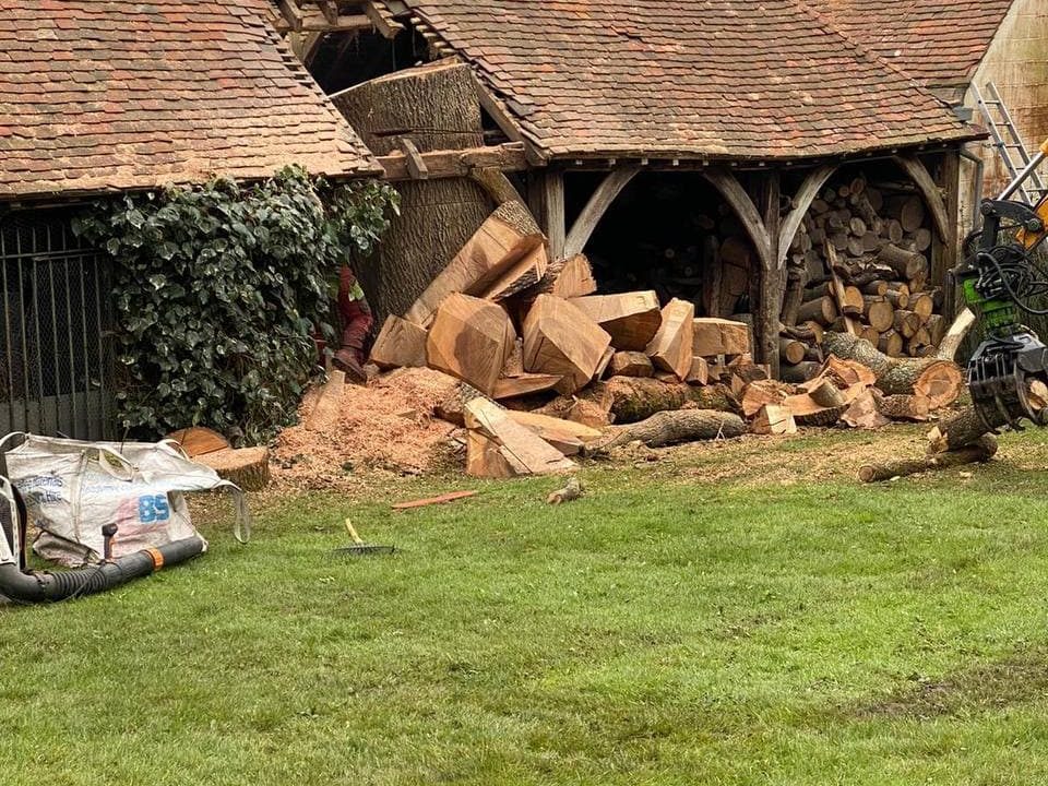 Tree Felling in Folkestone Kent & Surrounding areas